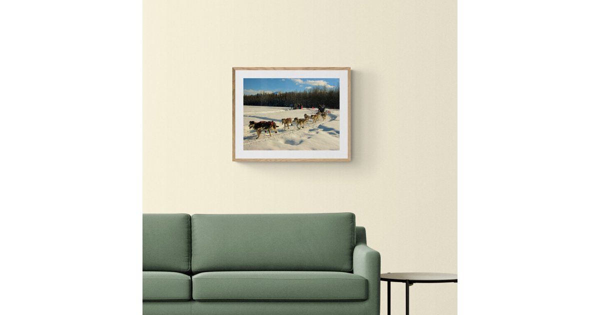 Iditarod Trail Sled Dog Race Poster | Zazzle