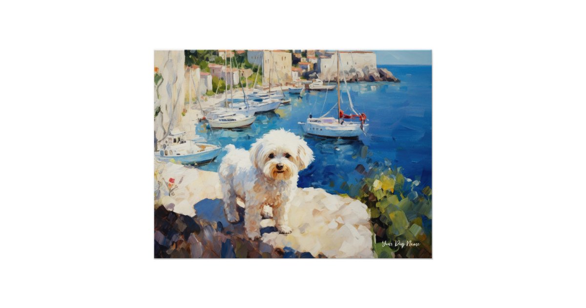 Idyllic Mediterranean town, Maltese Dog 01 - Gamba Poster | Zazzle