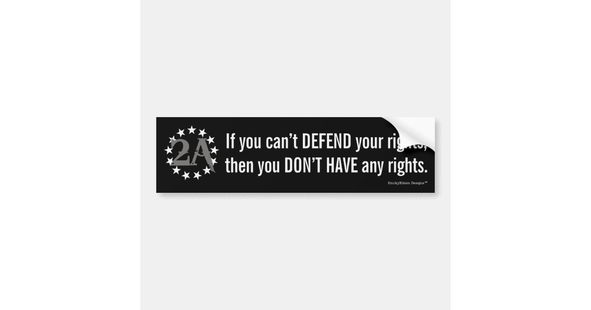If You Can't Defend Your Rights 2nd Admendment 2A Bumper Sticker | Zazzle
