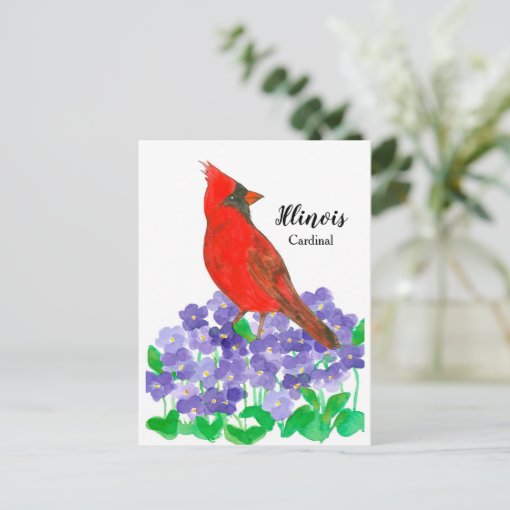 Illinois Cardinal Purple Wood Violets Postcard | Zazzle