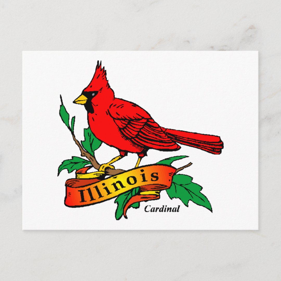 Illinois State Bird - Cardinal Postcard | Zazzle