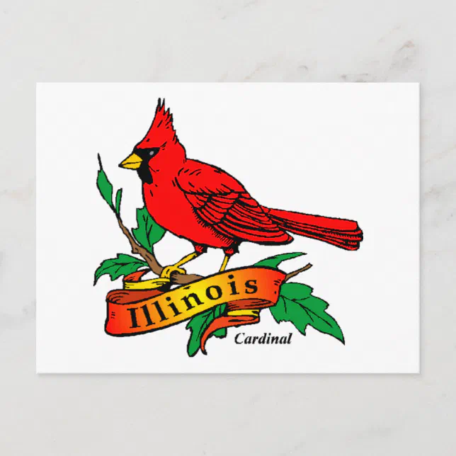 Illinois State Bird - Cardinal Postcard | Zazzle
