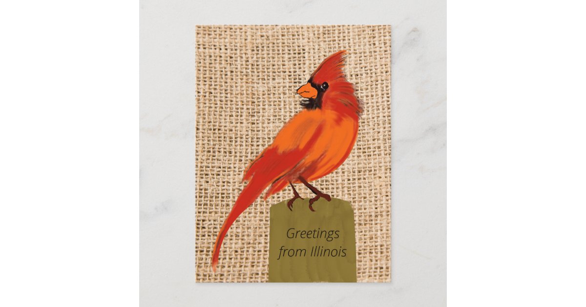 Illinois State Bird Postcard | Zazzle