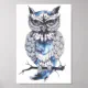 Illustrated Owl design Poster | Zazzle
