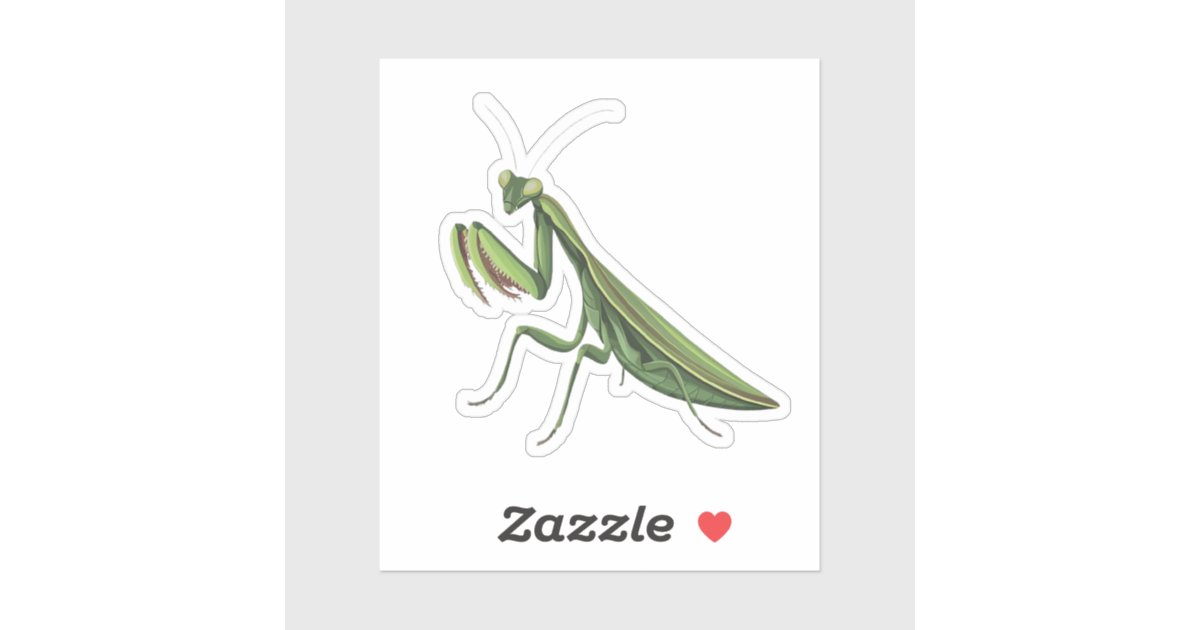 Illustrated Praying Mantis Sticker | Zazzle