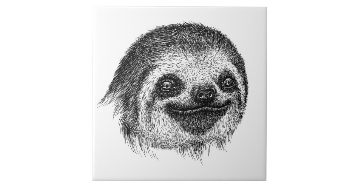 Illustrated Sloth Face Ceramic Tile | Zazzle