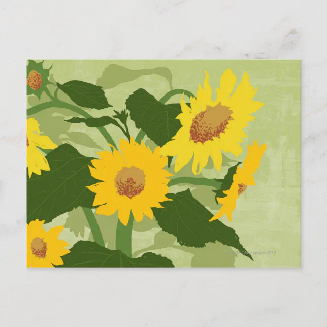 Illustrated Sunflowers Postcard | Zazzle