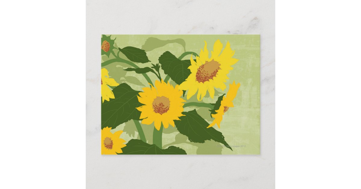 Illustrated Sunflowers Postcard | Zazzle