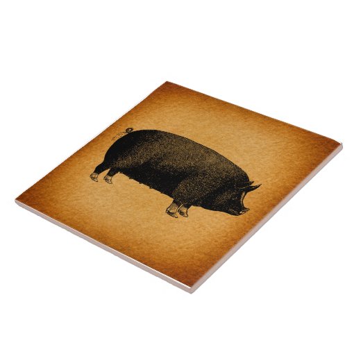 Illustrated Vintage Pig Rustic Art Ceramic Tile | Zazzle