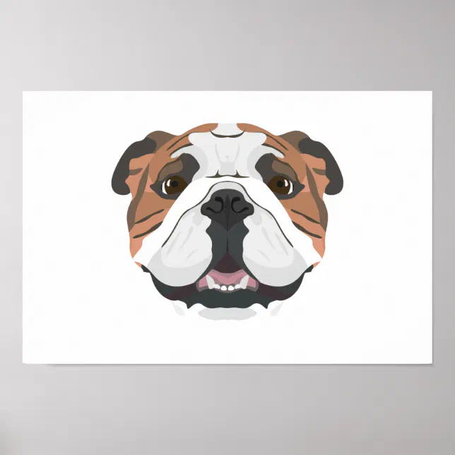 Illustration English Bulldog Poster | Zazzle