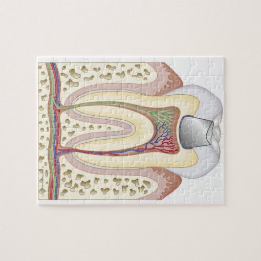 Illustration of Dental Filling Jigsaw Puzzle | Zazzle