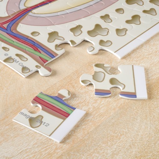 Illustration of Dental Filling Jigsaw Puzzle | Zazzle