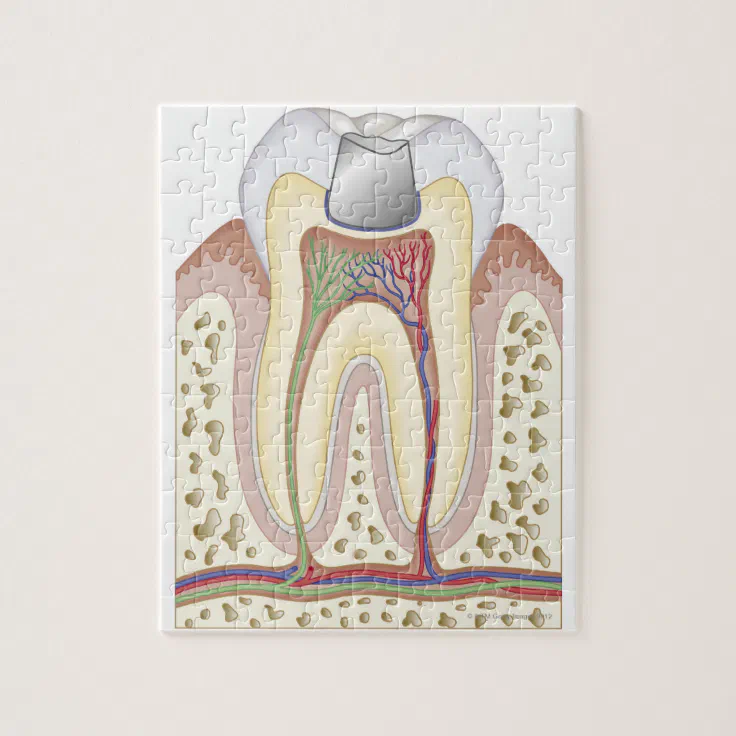 Illustration of Dental Filling Jigsaw Puzzle | Zazzle