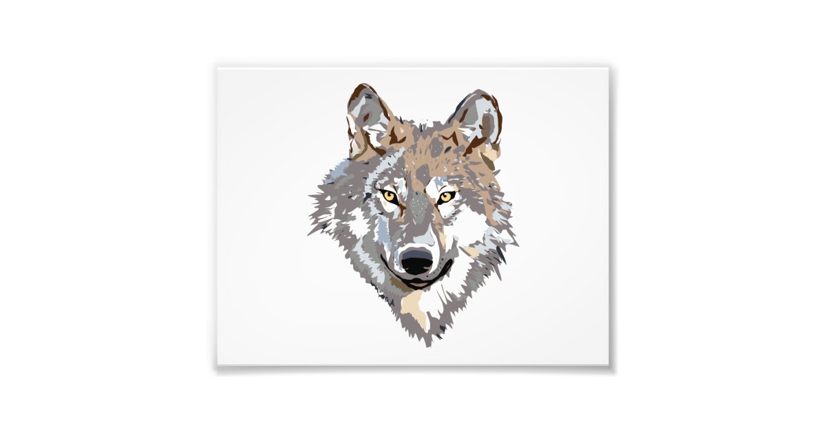 Illustration of wolf head in front photo print | Zazzle