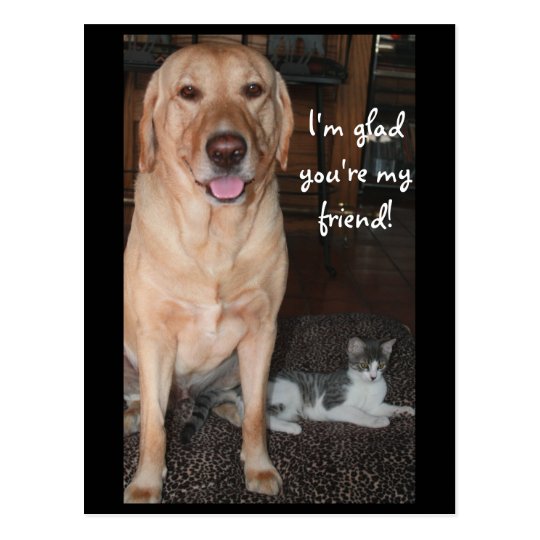 Sisters make the best friends - postcard | Zazzle.com