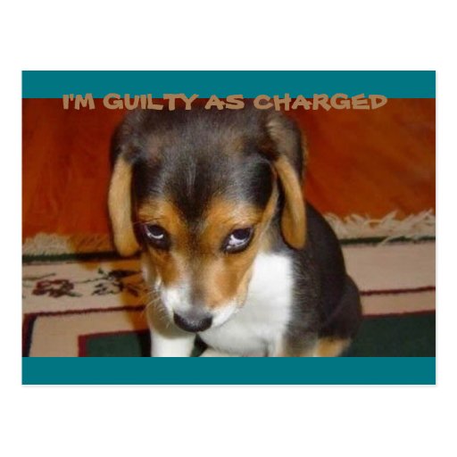 I'M GUILTY AS CHARGED POSTCARD | Zazzle