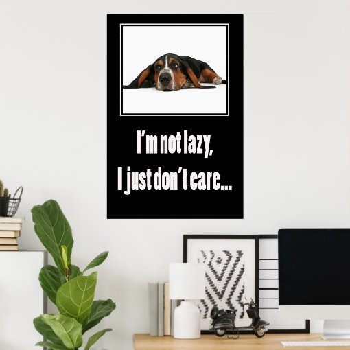 I'm not lazy I just don't care Poster | Zazzle