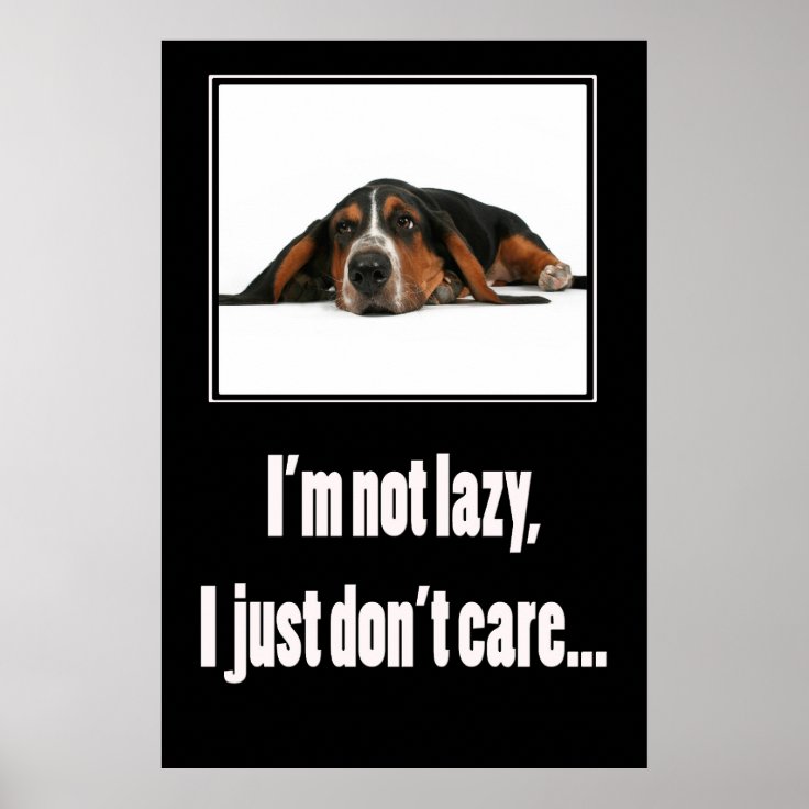 I'm not lazy I just don't care Poster | Zazzle