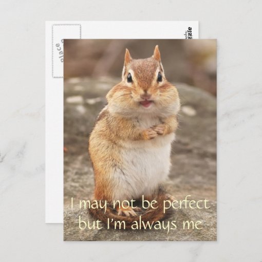 I'm Not Perfect Chipmunk Quote Postcard | Zazzle