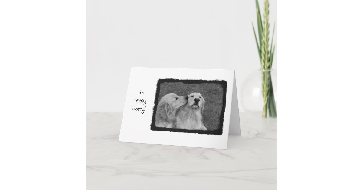 I'm really sorry card | Zazzle