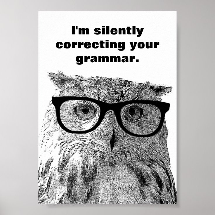 I'm silently correcting your grammar owl poster | Zazzle