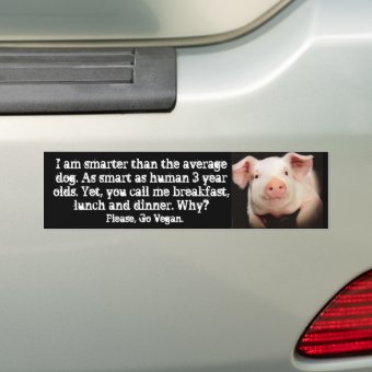 IM SMART BUMPER STICKER | Zazzle