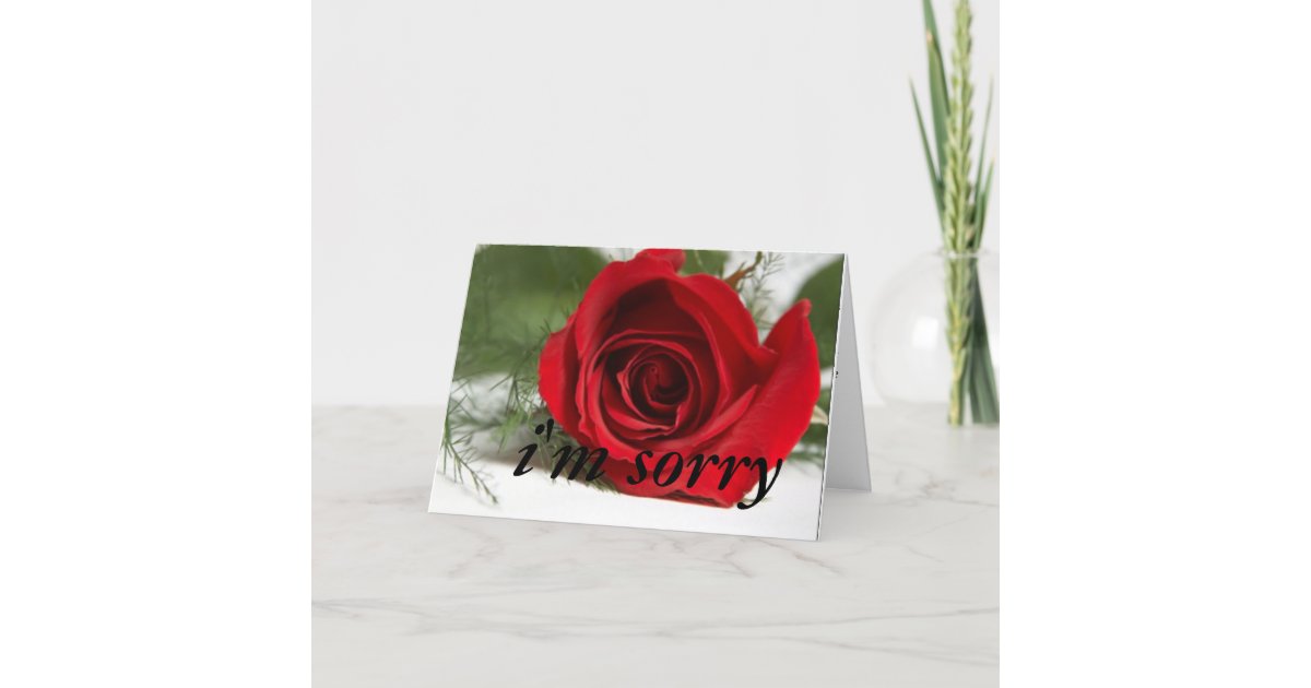 "I'm Sorry" Card Design1 | Zazzle
