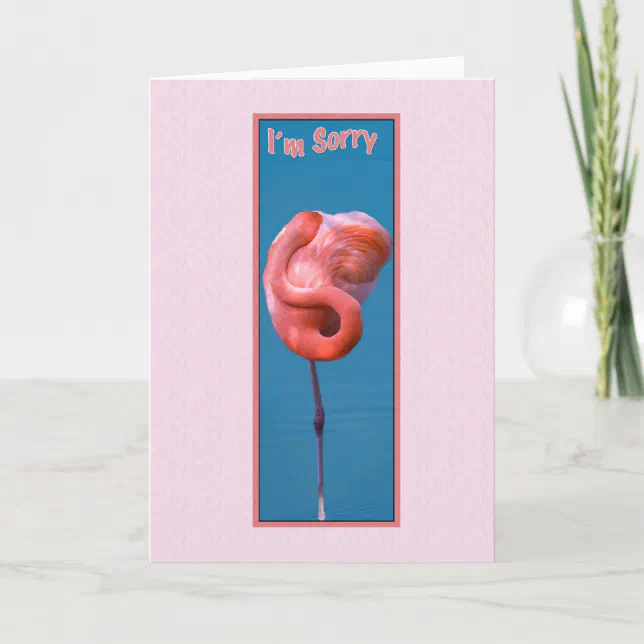 I'm Sorry Card with Twisted Pink Flamingo | Zazzle