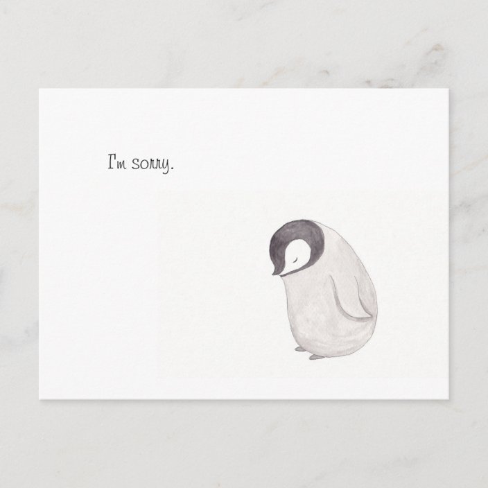 I'm Sorry Cute Penguin Post Card | Zazzle.com