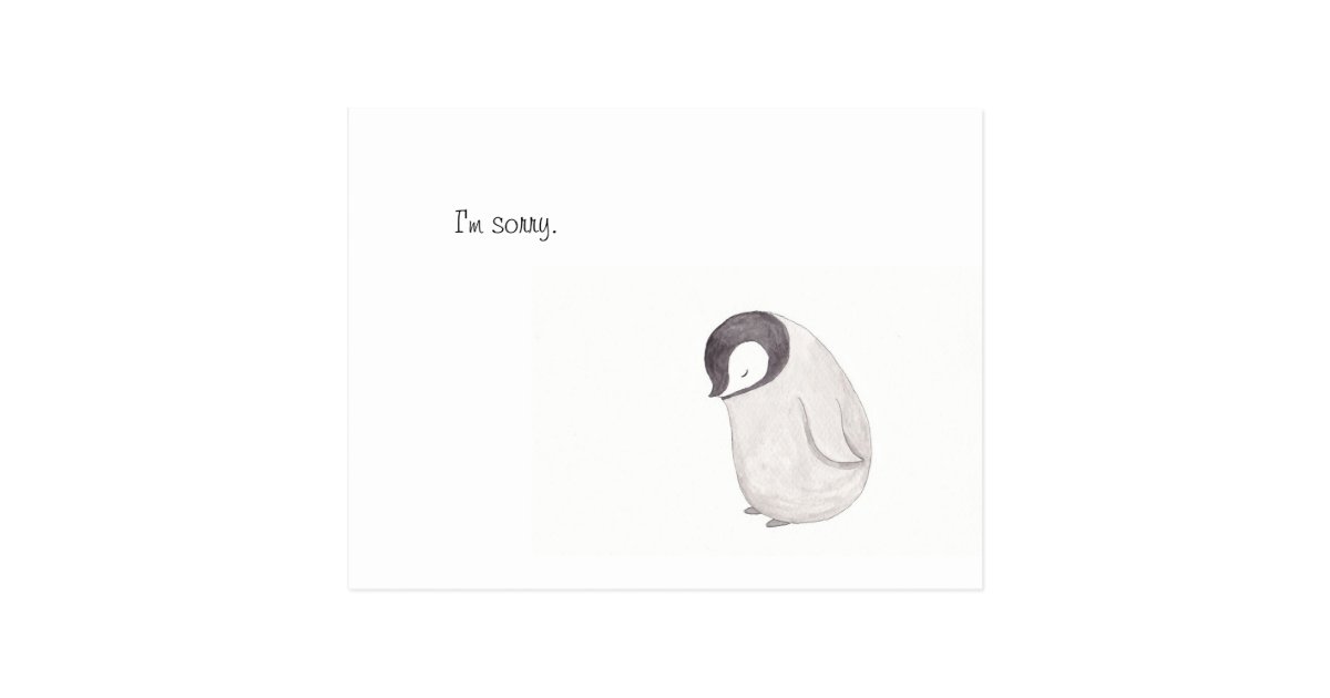 I'm Sorry Cute Penguin Post Card | Zazzle.com