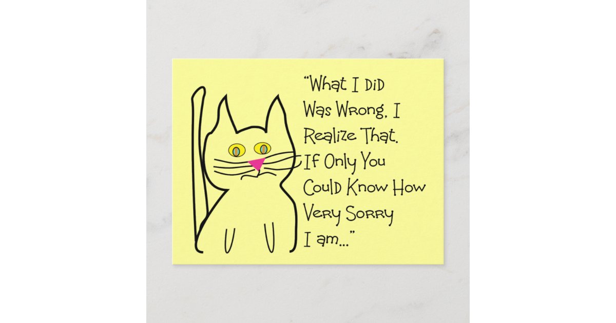 "I'm Sorry" Greeting Cards--Cat Design Postcard | Zazzle