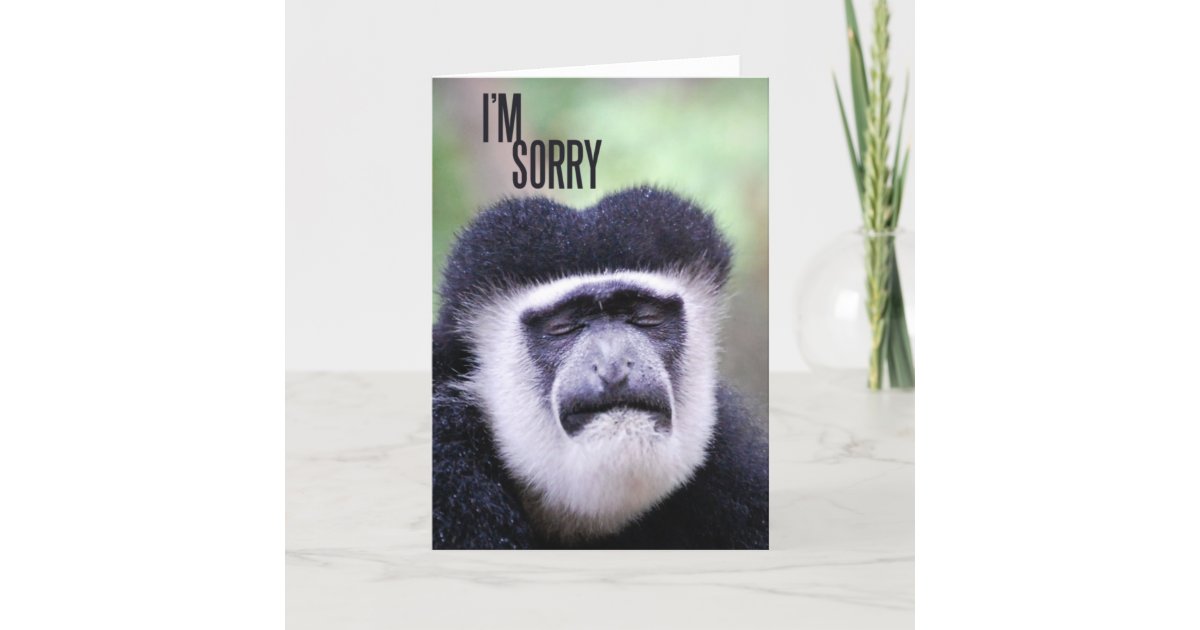 I'm sorry Monkey Card | Zazzle