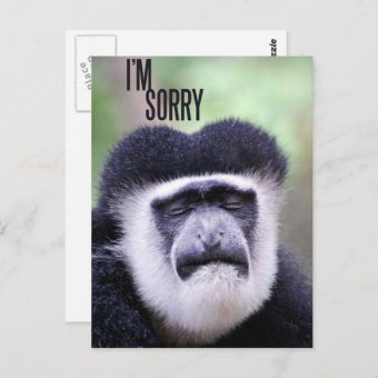 I'm sorry Monkey Postcard | Zazzle