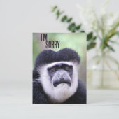 I'm sorry Monkey Postcard | Zazzle