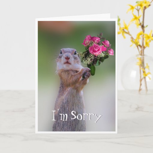 I'm Sorry Please Forgive Me Card | Zazzle