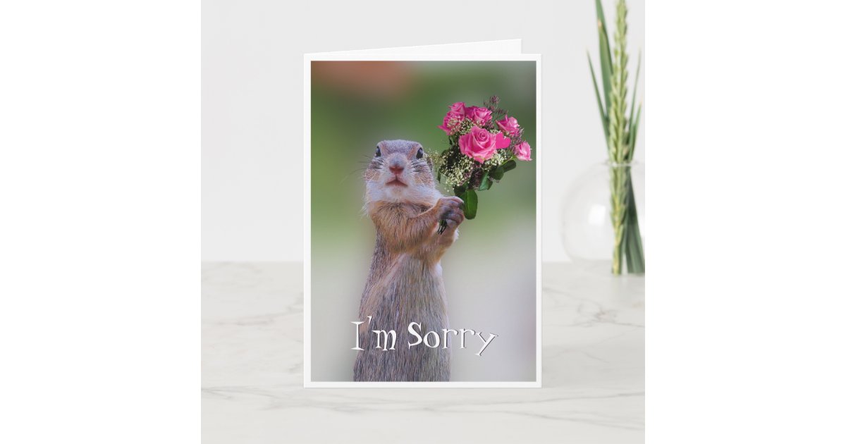 I'm Sorry Please Forgive Me Card | Zazzle