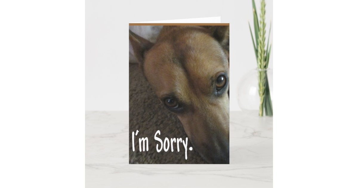 I'm Sorry Sad Dog Card | Zazzle