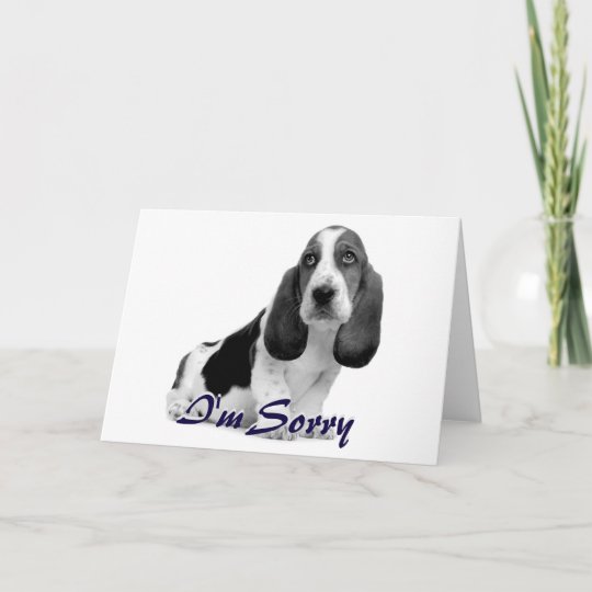I'm Sorry sad puppy card | Zazzle.com