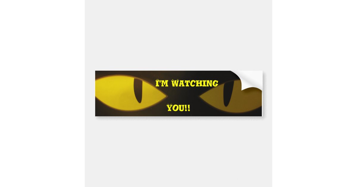 I'm Watching, You!! Bumper Sticker | Zazzle