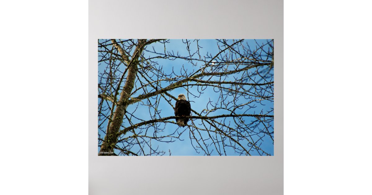 I'm Watching You Poster | Zazzle