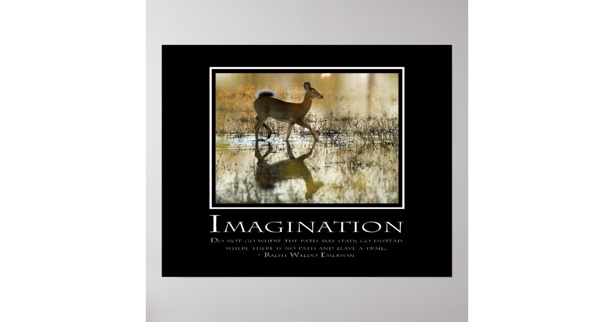Imagination Poster | Zazzle
