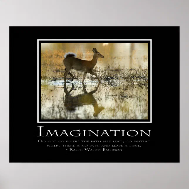 Imagination Poster | Zazzle
