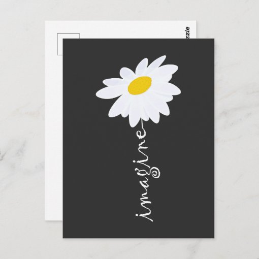 Imagine Daisy Flower Postcard | Zazzle