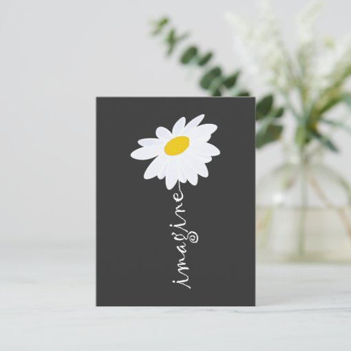 Imagine Daisy Flower Postcard | Zazzle