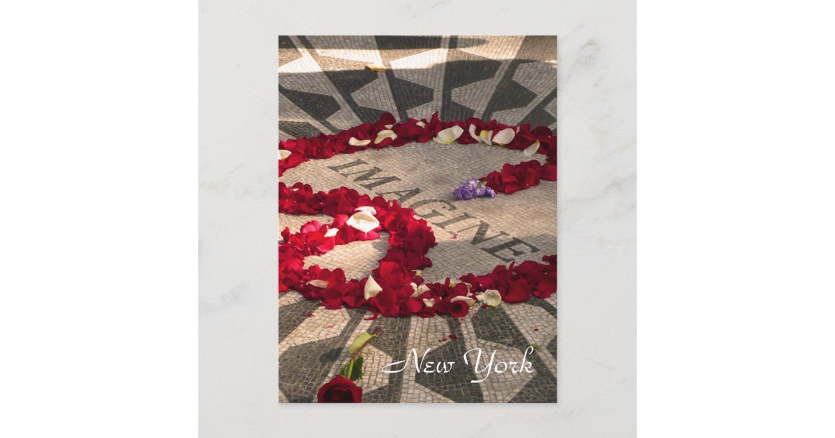 Imagine Postcard | Zazzle