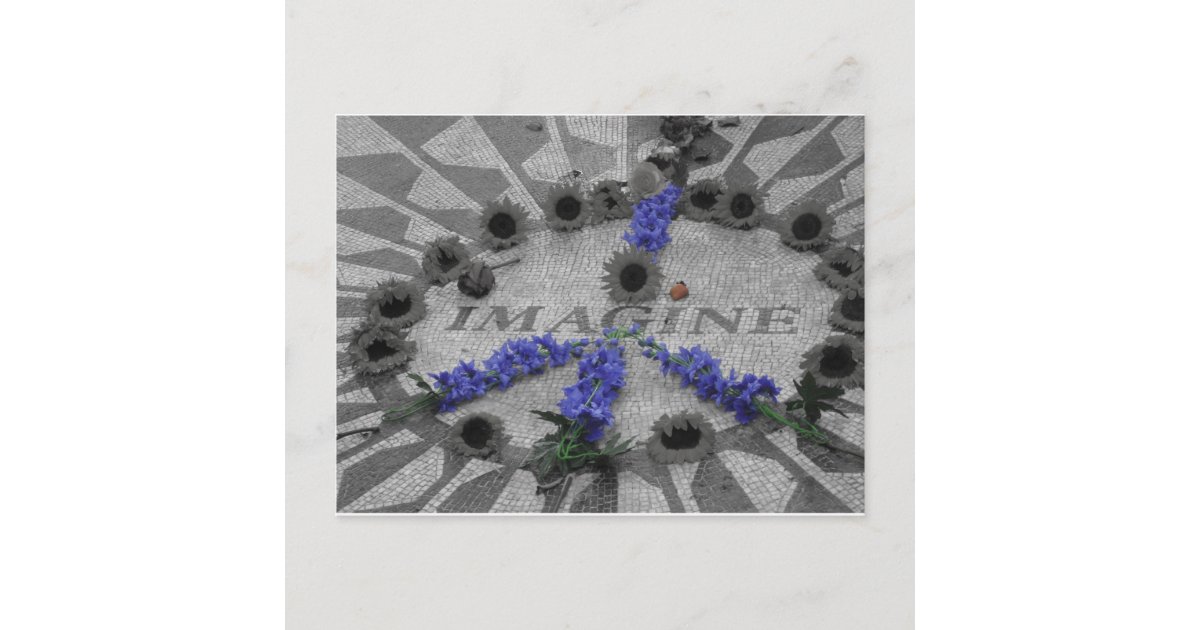 Imagine Postcard | Zazzle