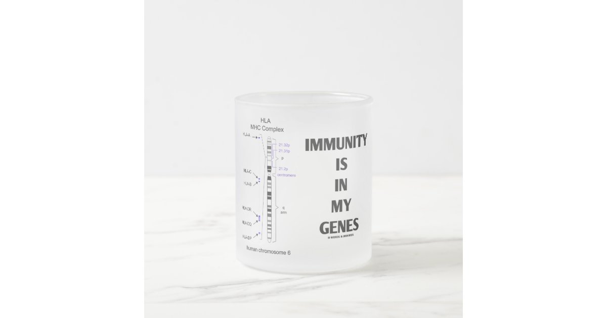 Immunity Is In My Genes (Immunology Chromosome 6) Frosted Glass Coffee ...