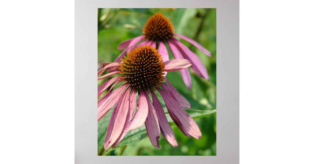 Imperfection Poster | Zazzle
