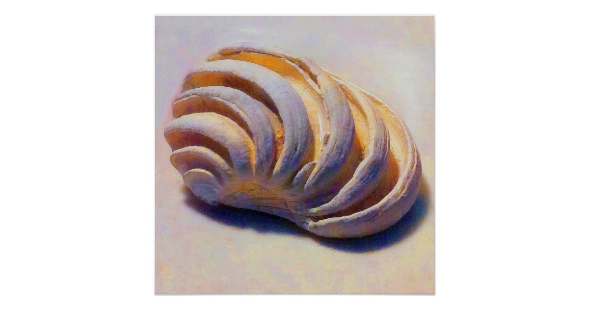 Imperial Venus Shell Poster | Zazzle
