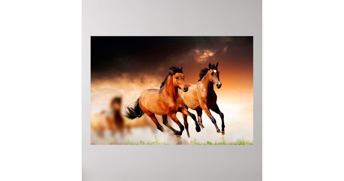 Imposing Wild Brown Horses Poster | Zazzle